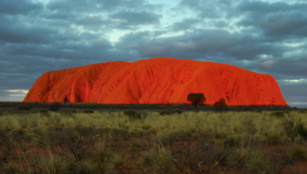 Uluru One Day Tour | Erldunda Roadhouse
